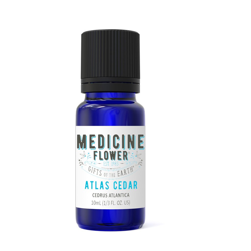 Cedar, Atlas Essential Oil – Medicine Flower